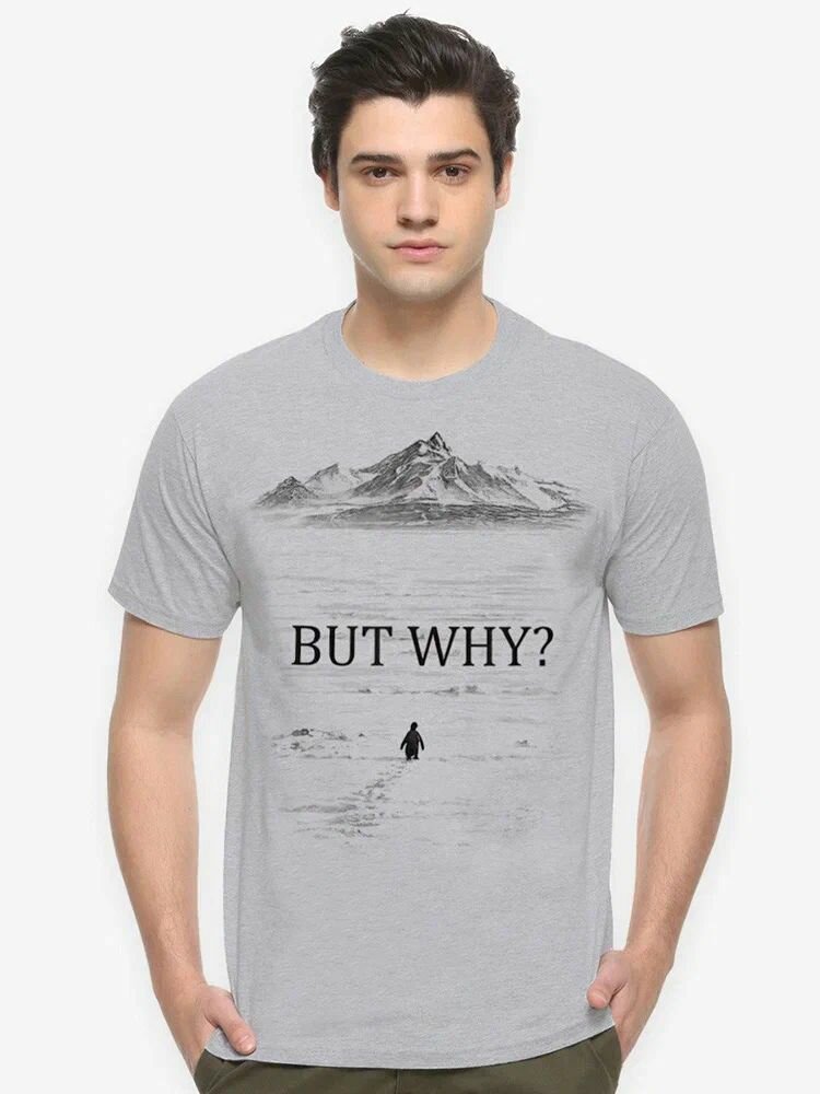Футболка Одинокий Пингвин / But Why / Мужская