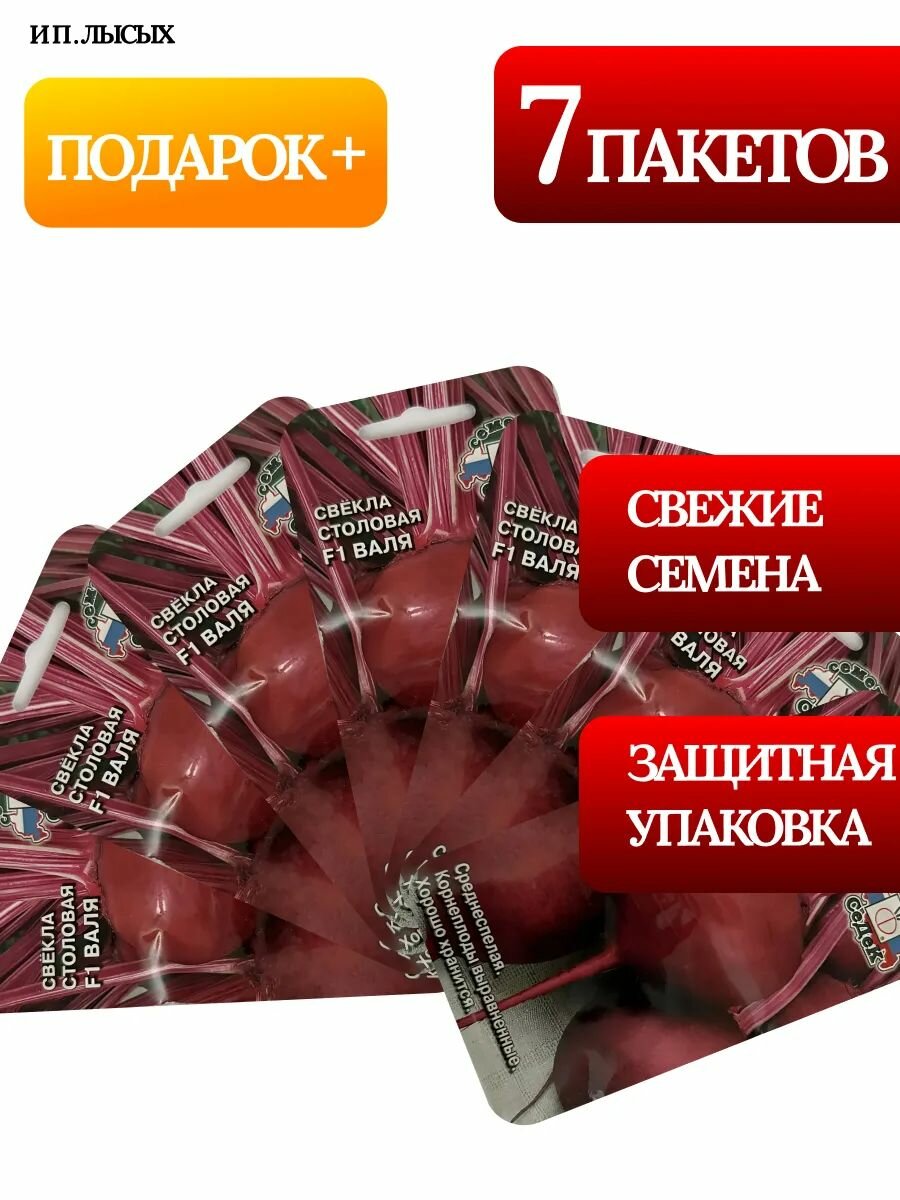 Семена Свекла "Столовая Валя"