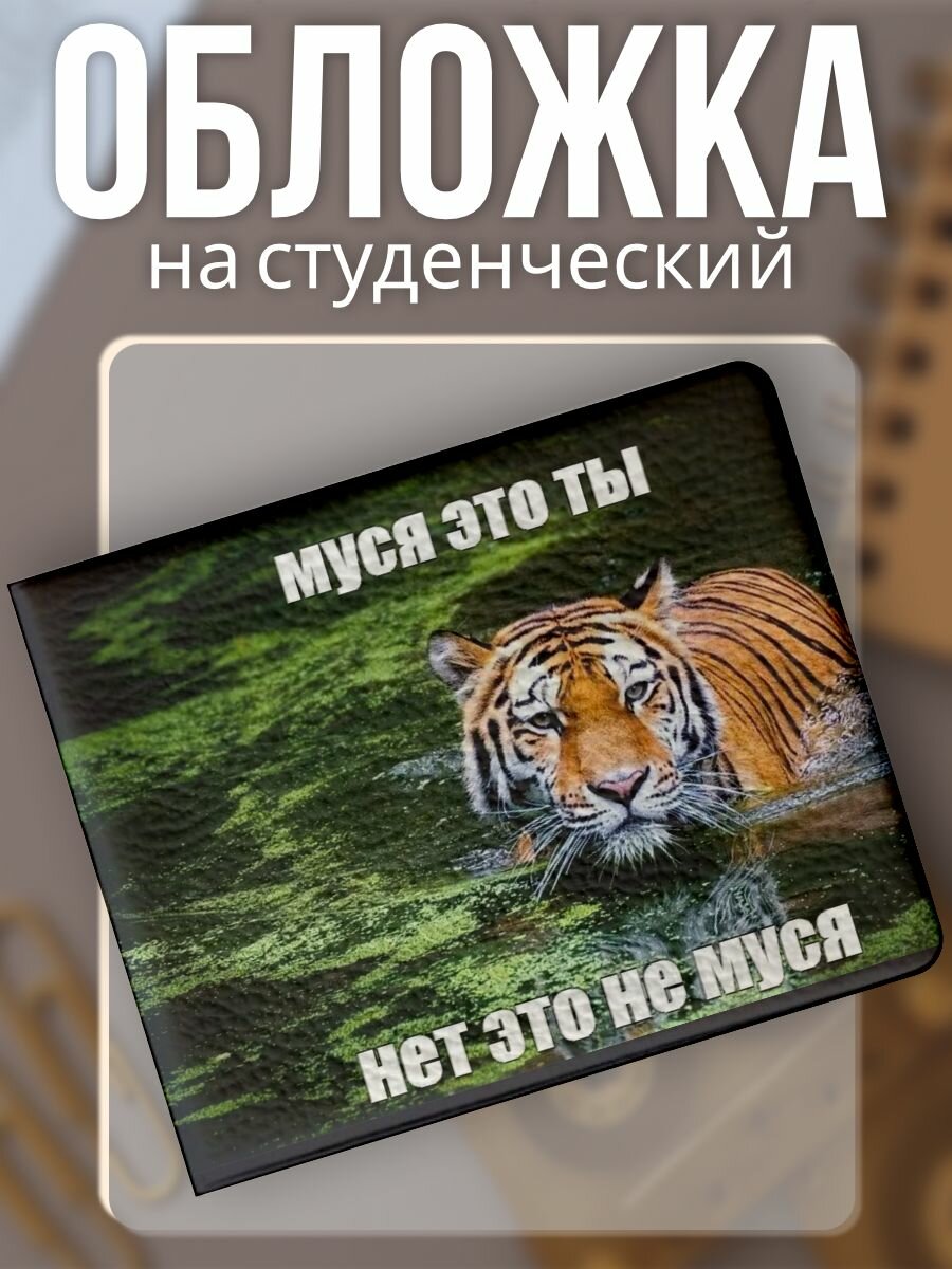 Обложка для студенческого билета 0_ok.rilART