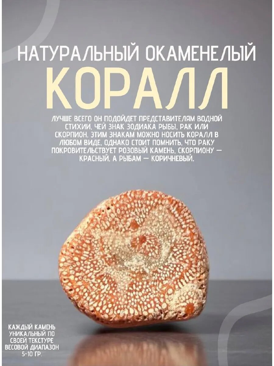 Коралл окаменелый минерал