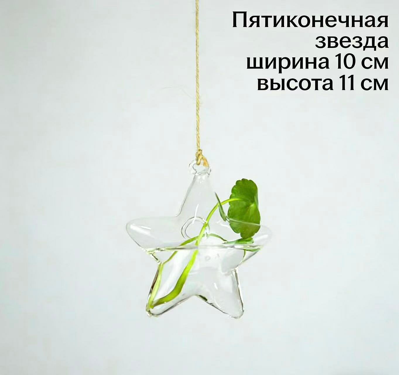 Подвесные стеклянные вазы для гидропоники, ручная работа, декоративные флорариумы, набор из 1штук — фото 1