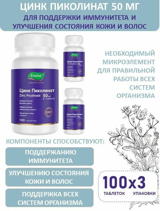 БАД Цинк пиколинат 100 шт. таблетки, покрытые оболочкой массой 0,6 г - 3уп