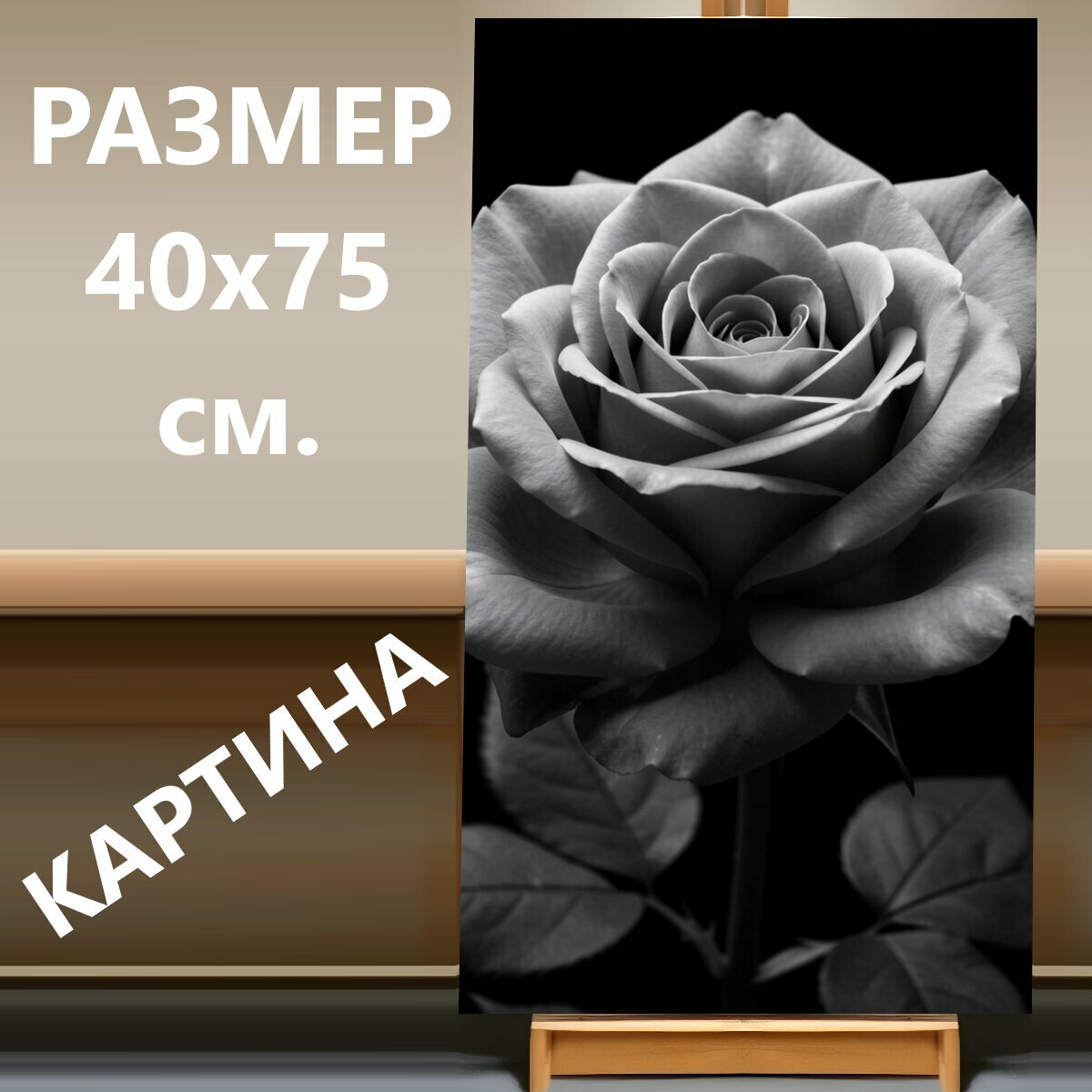 Картина на холсте "Белая роза на черном фоне. Монохромный крупный цветок с бархатистыми лепестками и тонким стеблем, изящная композиция в." на подрамнике 75х40 см. для интерьера