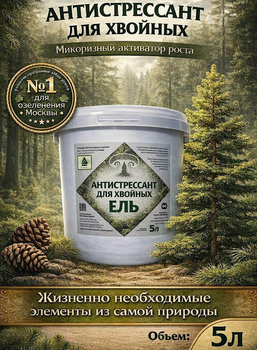 Удобрение для хвойных растений, микориза для корней Ели. Микобакс