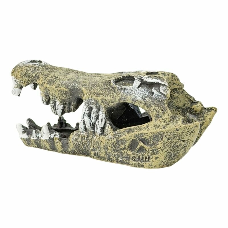 (1 шт.) Декоративная фигурка из смолы для аквариума - череп крокодила