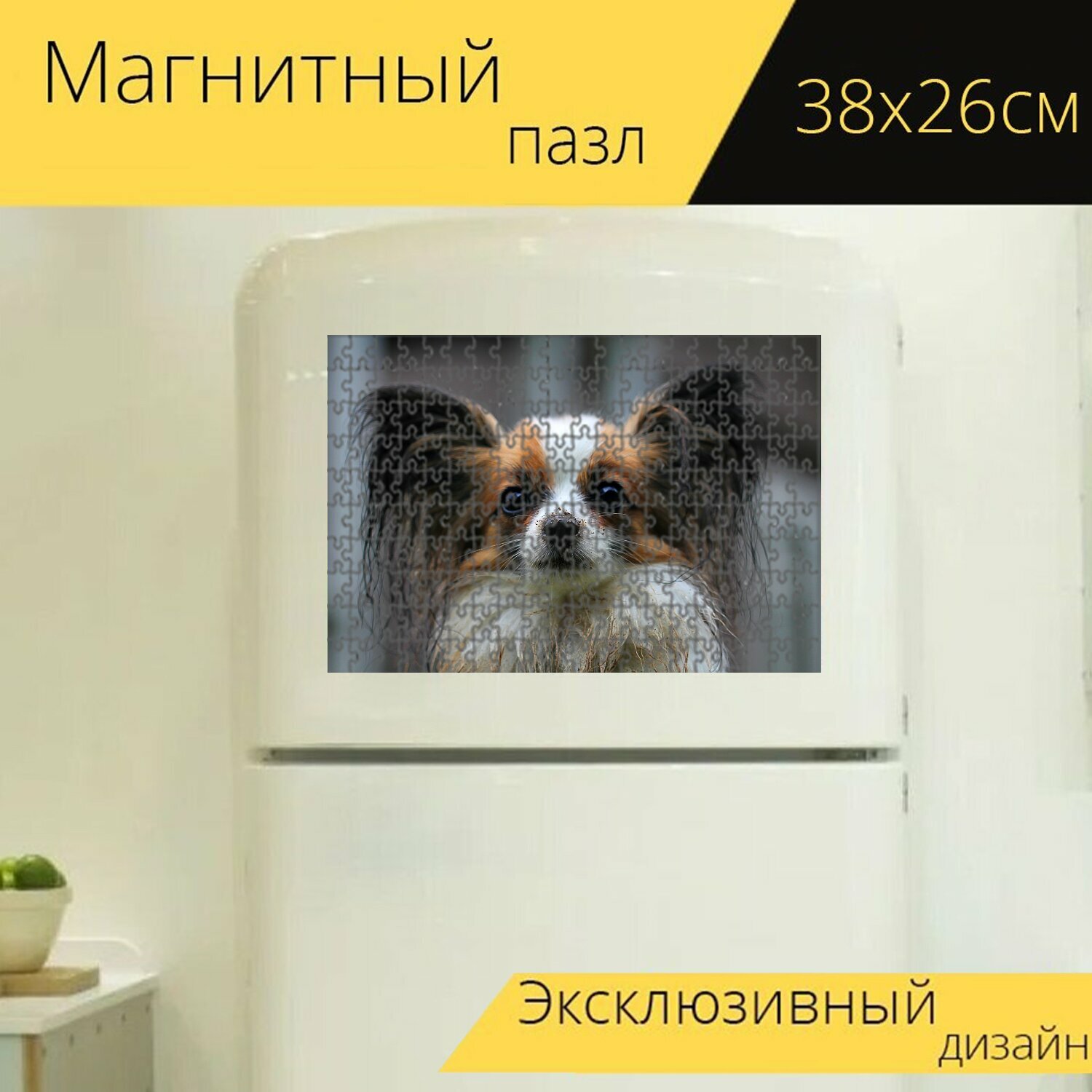 Магнитный пазл "Папильон, собака, животное" для интерьера, 38х26 см.