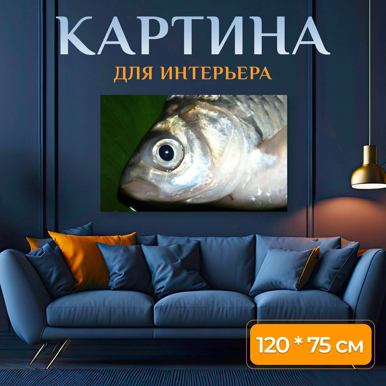 Картина на холсте "Пресноводная рыба фото Пресноводная рыба фото рыба карп еда река щука маскировка карпов Cypriniformes упрямец карповые." на подрамнике 120х75 см. для интерьера