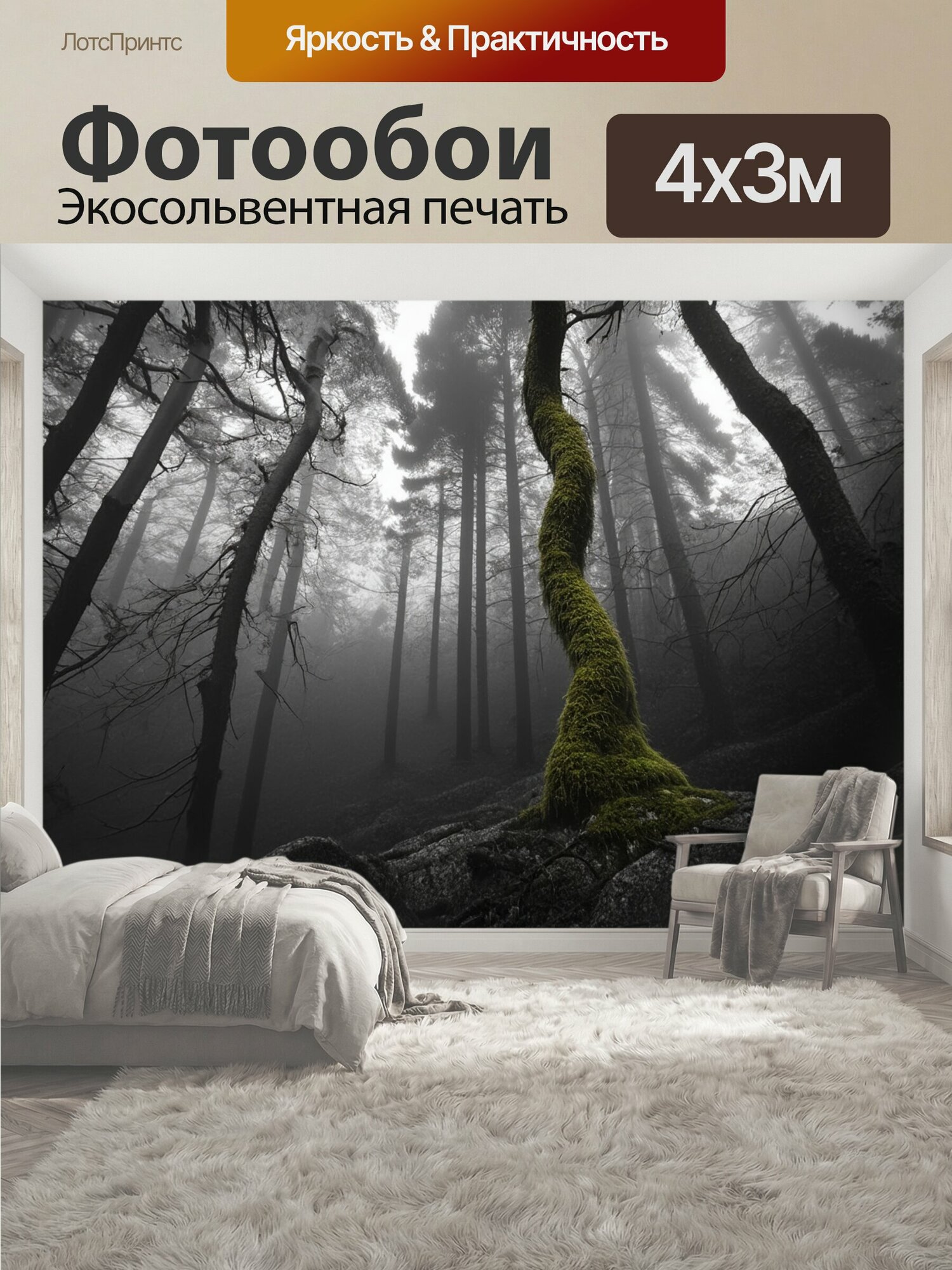 Фотообои "Черно-белая фотография леса в тумане, деревья с искривленными стволами и ветками, покрытые мхом" 400x300 см. экосольвентная печать