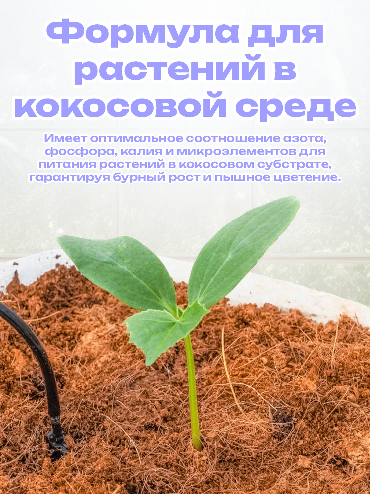 Стимулятор роста в кокосе / B'cuzz Booster Coco, 100 мл / Atami — фото 1