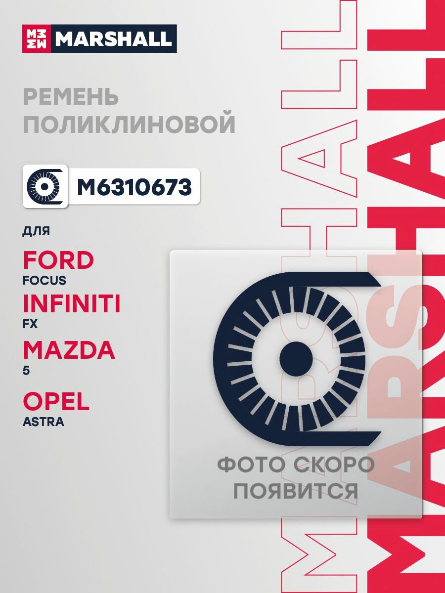 Ремень поликлиновой 6PK1310 Ford Форд C-Max MB Мерседес B-Class