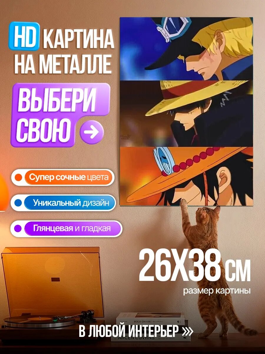 Картина на HD металле Братья из Ван Пис