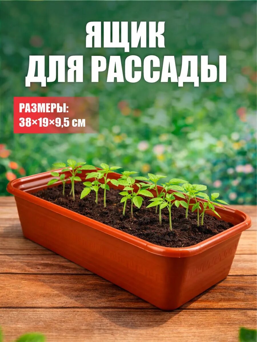 Ящик для рассады для подоконника пластиковый 380*190*95