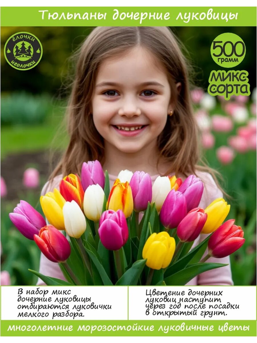 Тюльпан Луковица, дочерние, 500г
