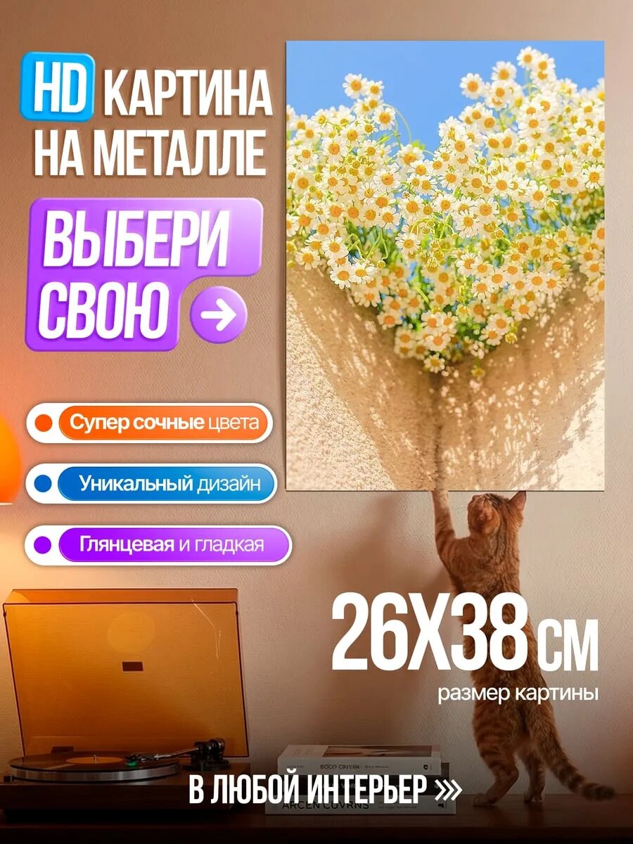 Картина на HD металле Поле ромашек небо