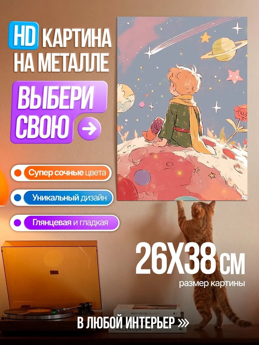 Картина на HD металле Маленький принц космос