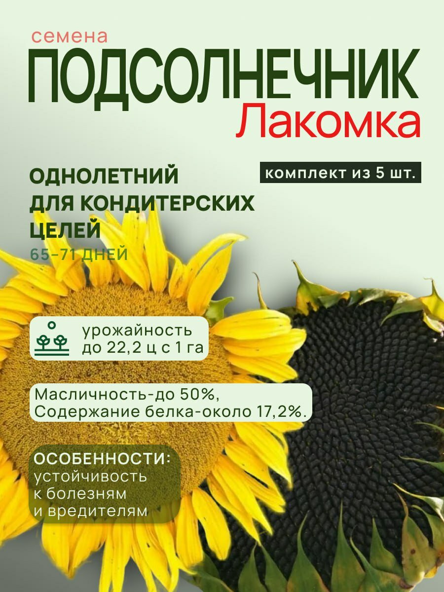 Семена подсолнечника сорт "Лакомка", среднеспелый, высокоурожайный, 5 пачек