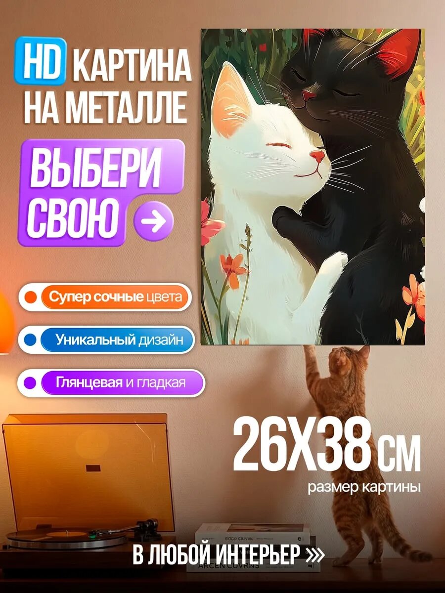 Картина на HD металле Черно-белые коты