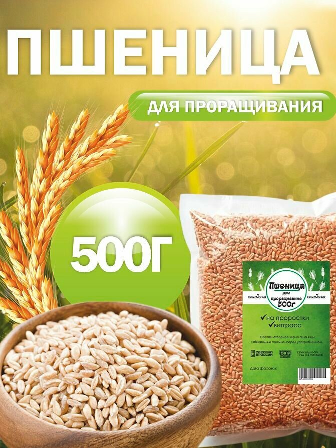 Пшеница для проращивания, заваривания, витграсс 0,5 кг