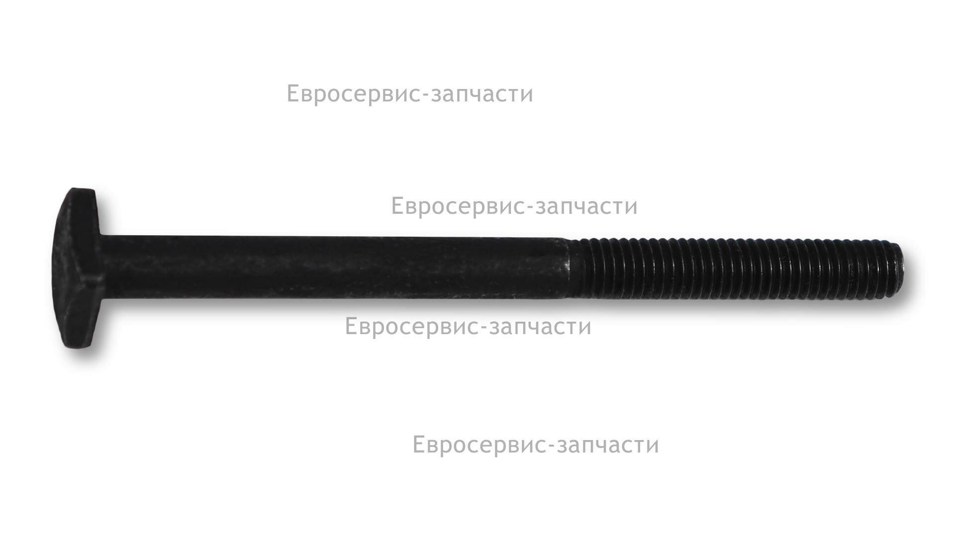 Винт крепления глушителя MS 250, MS 170 (M5x65), CHAMPION(IGP) 1300120 1300120