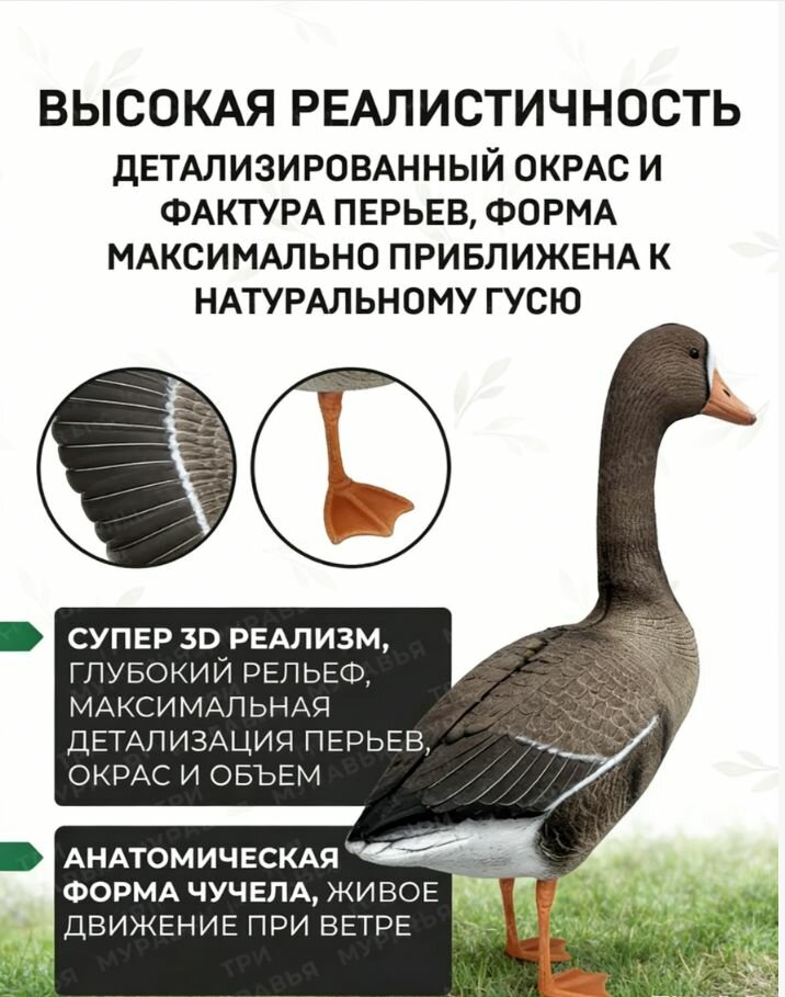 Чучело — фото 1