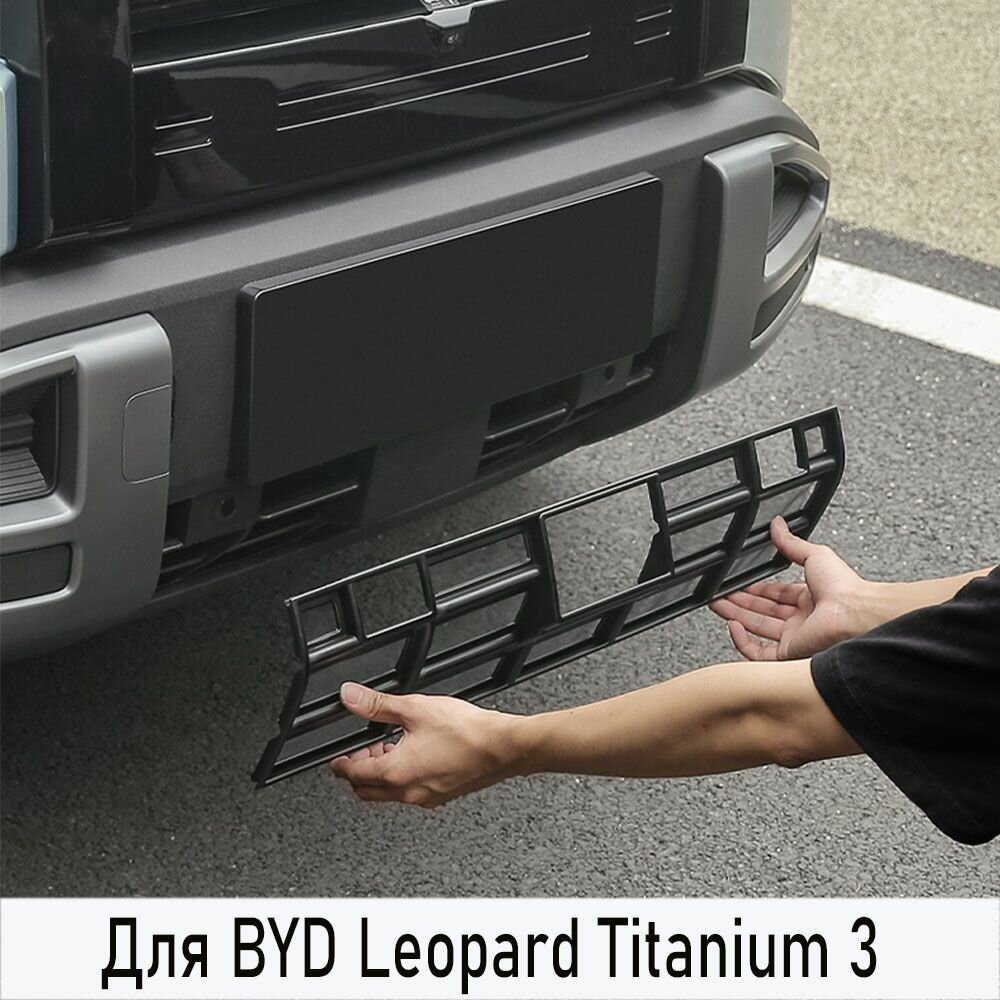 Москитная сетка для BYD Leopard Titanium 3 - защита от насекомых в салоне авто, автосетка для поездок и отдыха в дороге