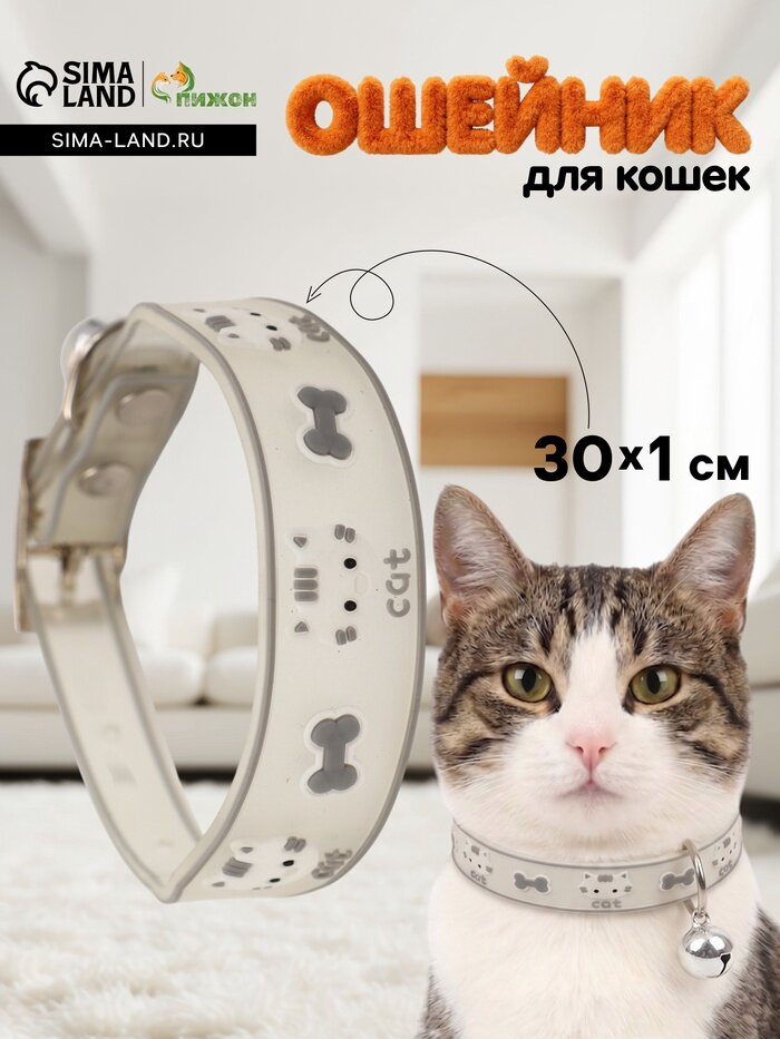Ошейник кошачий со светоотражающим покрытием "Котя", 30 х 1 см, серый 10970928