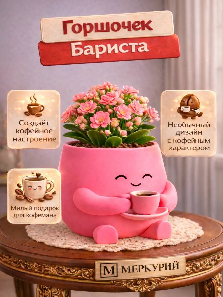 Горшок для цветов кактусов и суккулентов декоративный