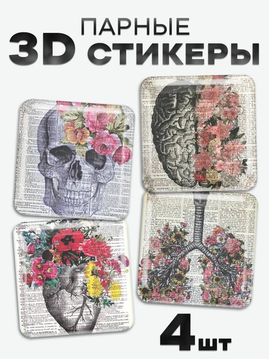 3D стикеры, наклейки на телефон Анатомия человека