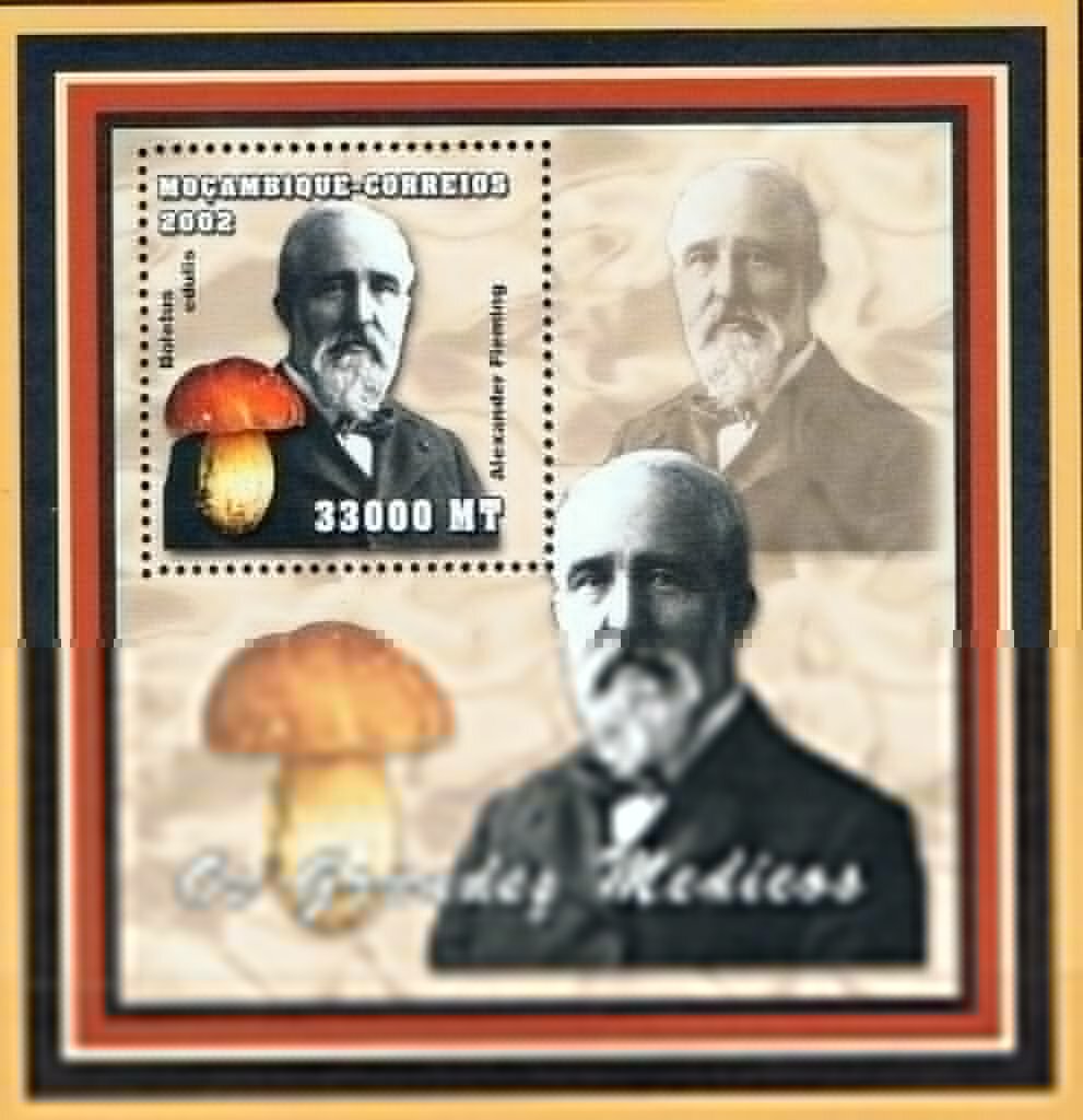 Почтовые марки Мозамбик 2002г. "Личности - Александр Флеминг" Грибы, Ученые, Медицина MNH