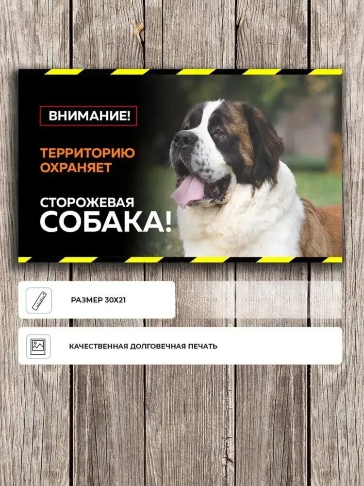 Красивая табличка "Осторожно злая собака" с Сенбернаром А4 (20х30см)
