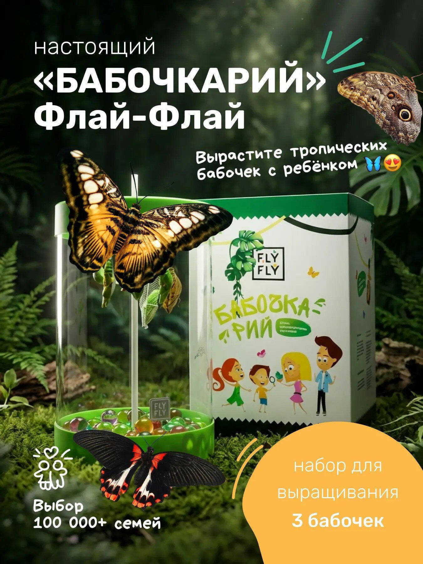 Ферма бабочек "Бабочкарий" на 3 куколки / Детский набор для исследований от Флай-Флай