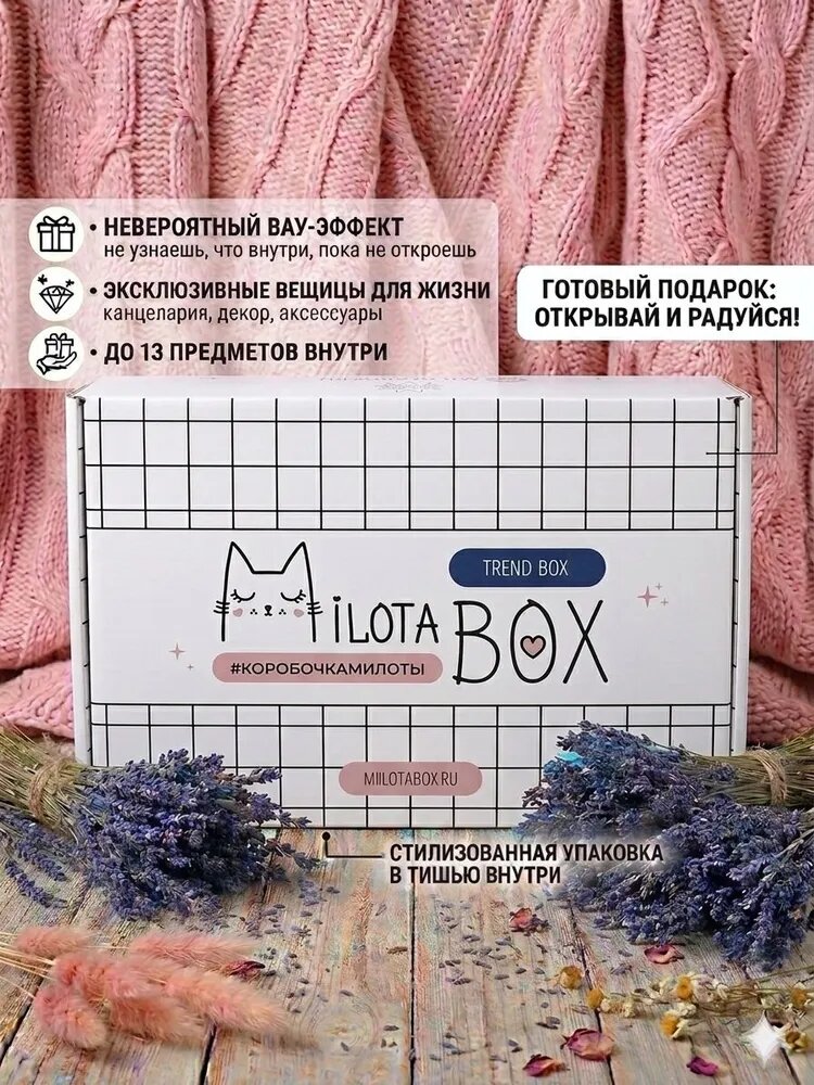 Сюрприз для девочек с котиками / Набор подарочный MilotaBox Котик бокс