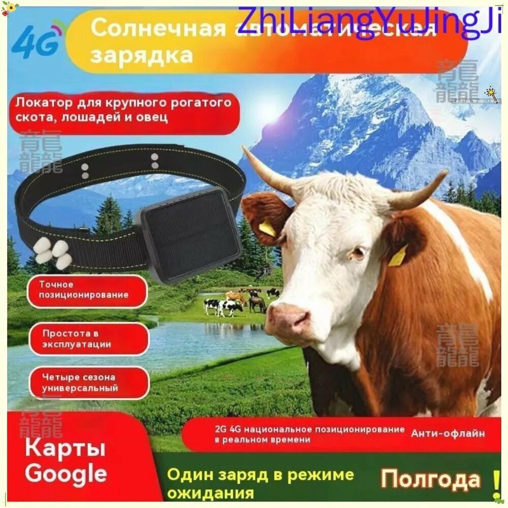 Водонепроницаемый трекер для крупного рогатого скота, овец и лошадей 4G, Charged version