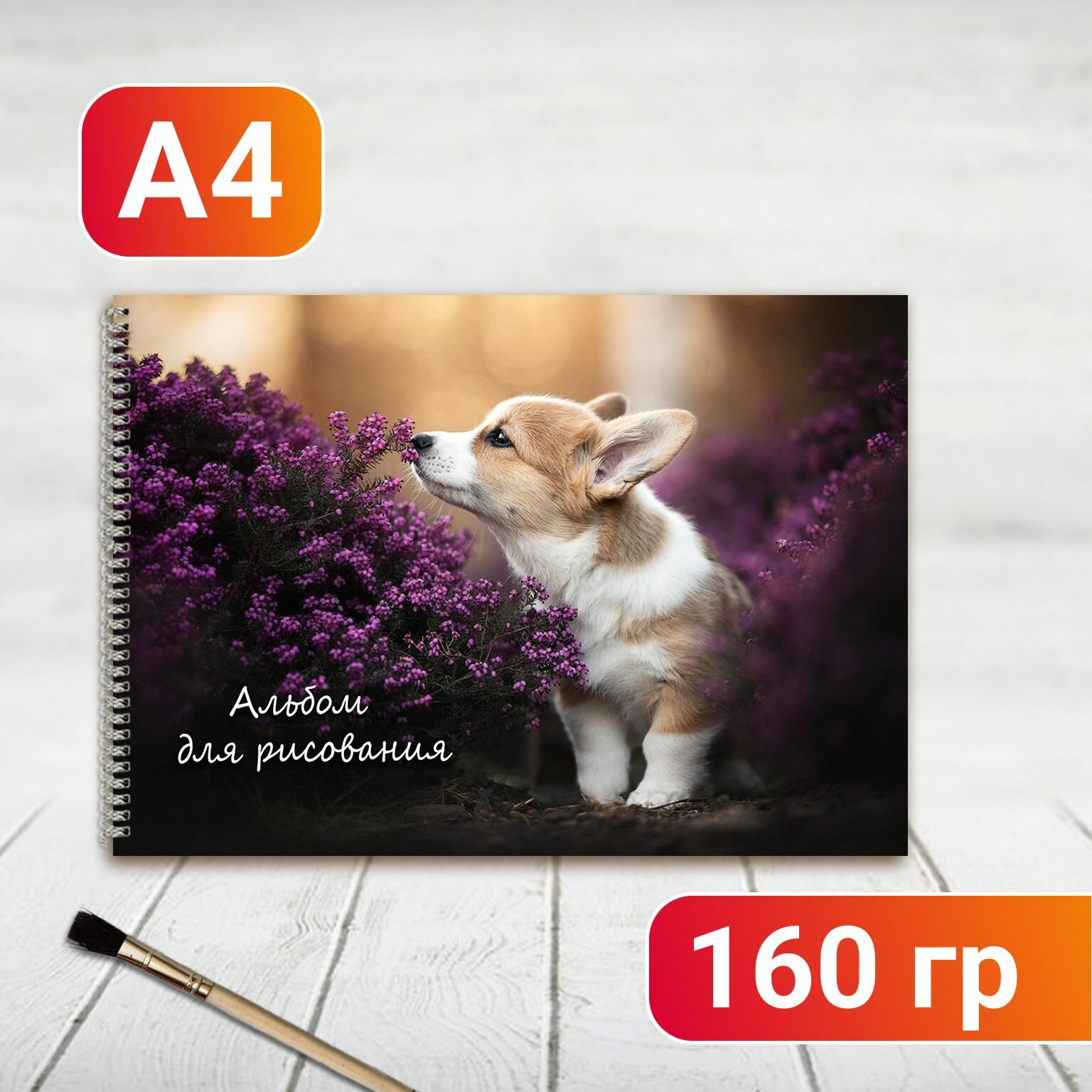 Альбом для рисования Корги