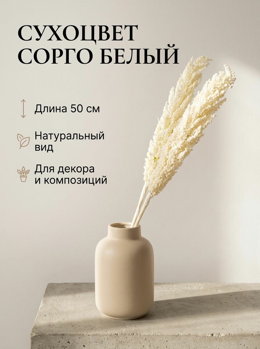 Сухоцвет Сорго, белый натуральный сухоцвет, для создания цветочных композиций и декора