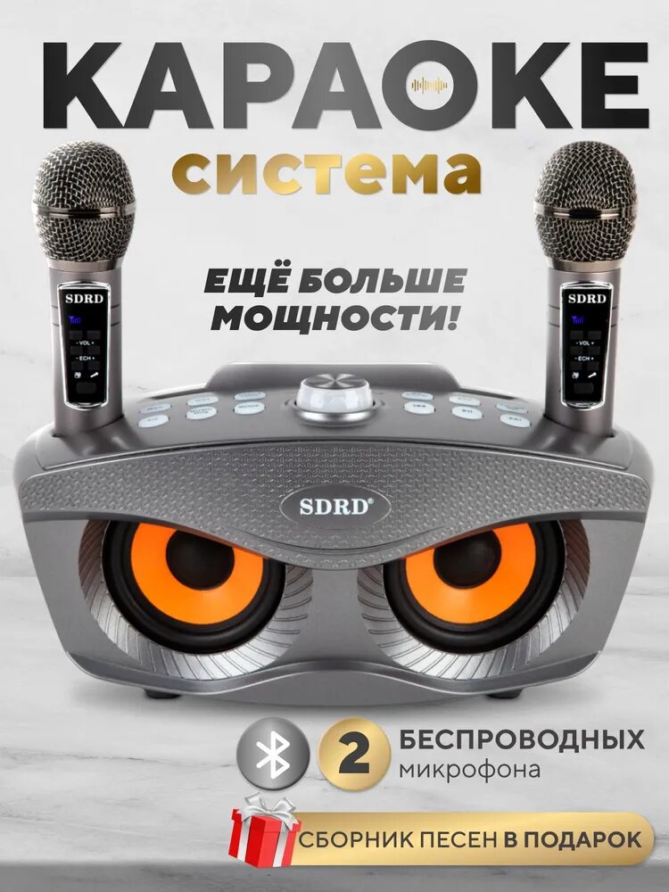 Караоке система с двумя беспроводными микрофонами