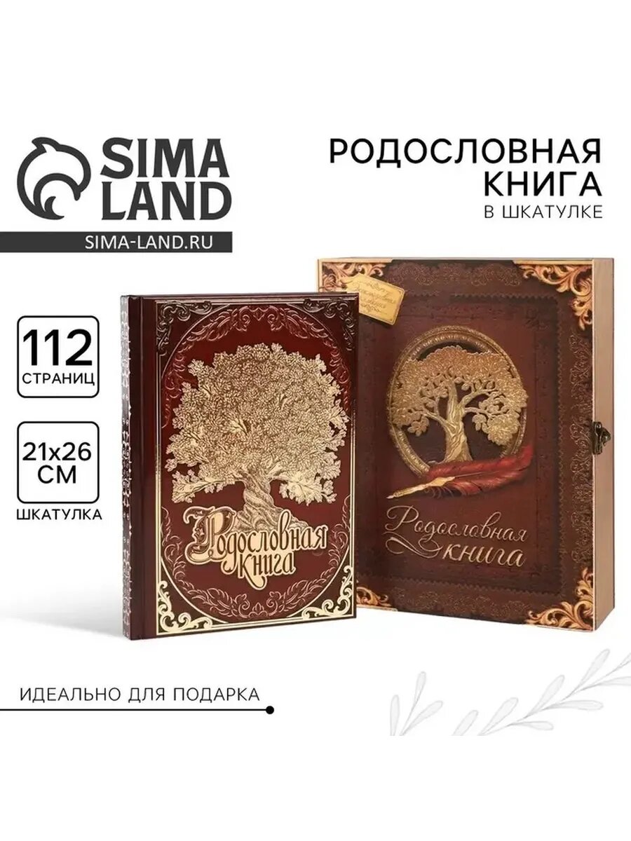 Элегантная книга семейной истории в шкатулке