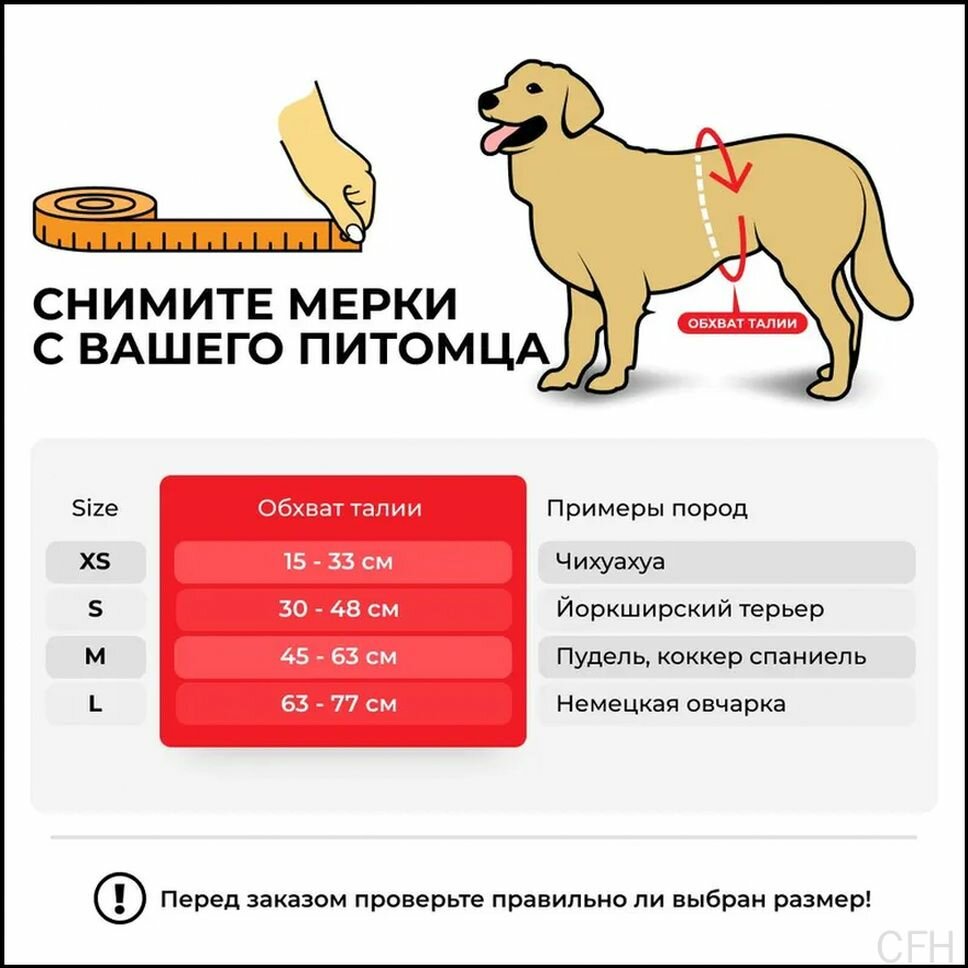 Пояс для кобелей — фото 1