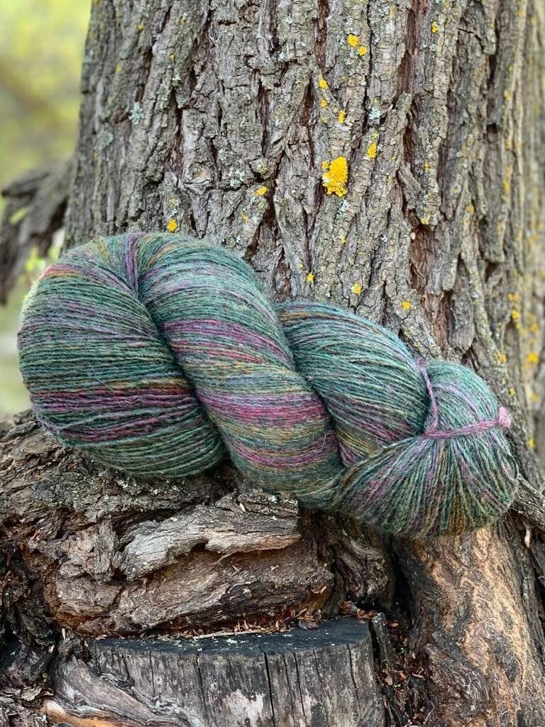 Пряжа Дундага 6/1multicolor MG-31 200грамм (100% меринос)