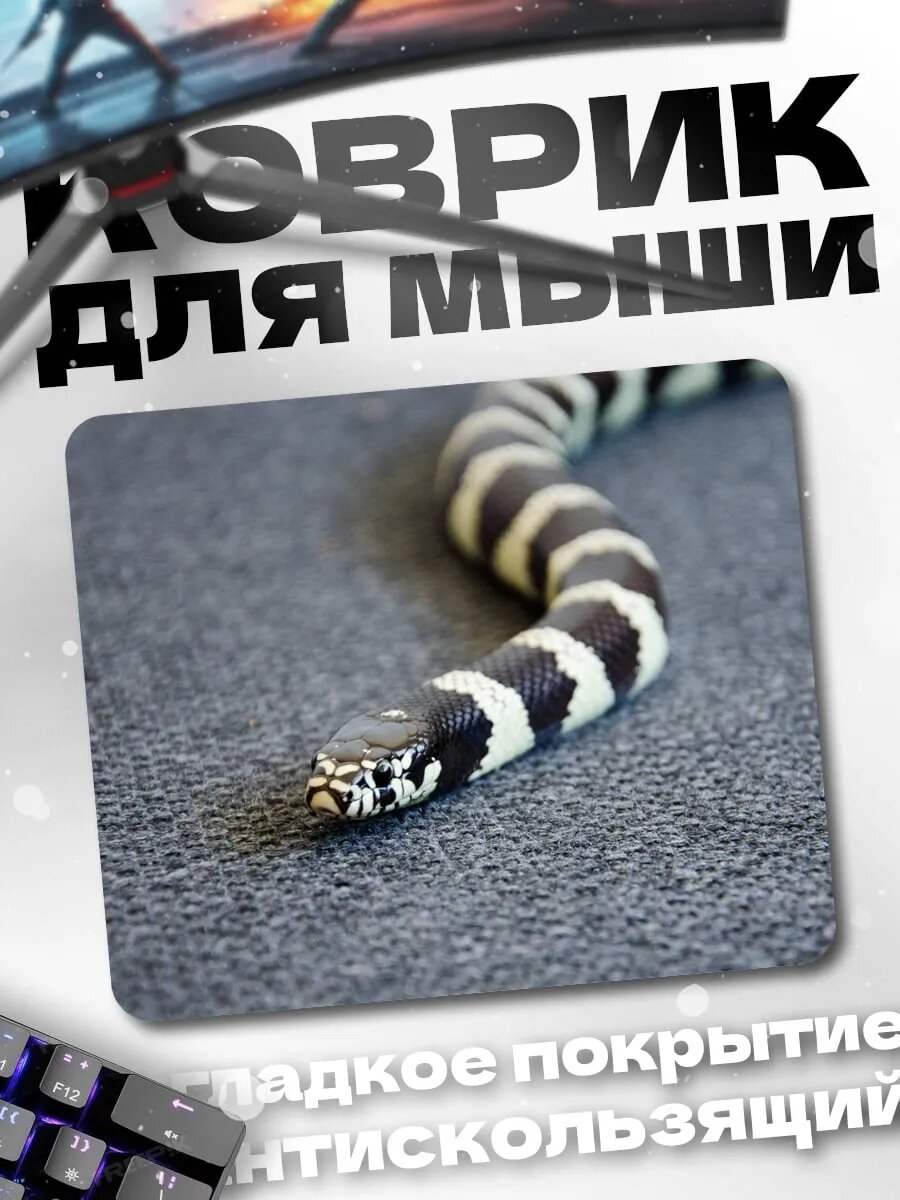 Коврик для мыши Королевская змея в полоску