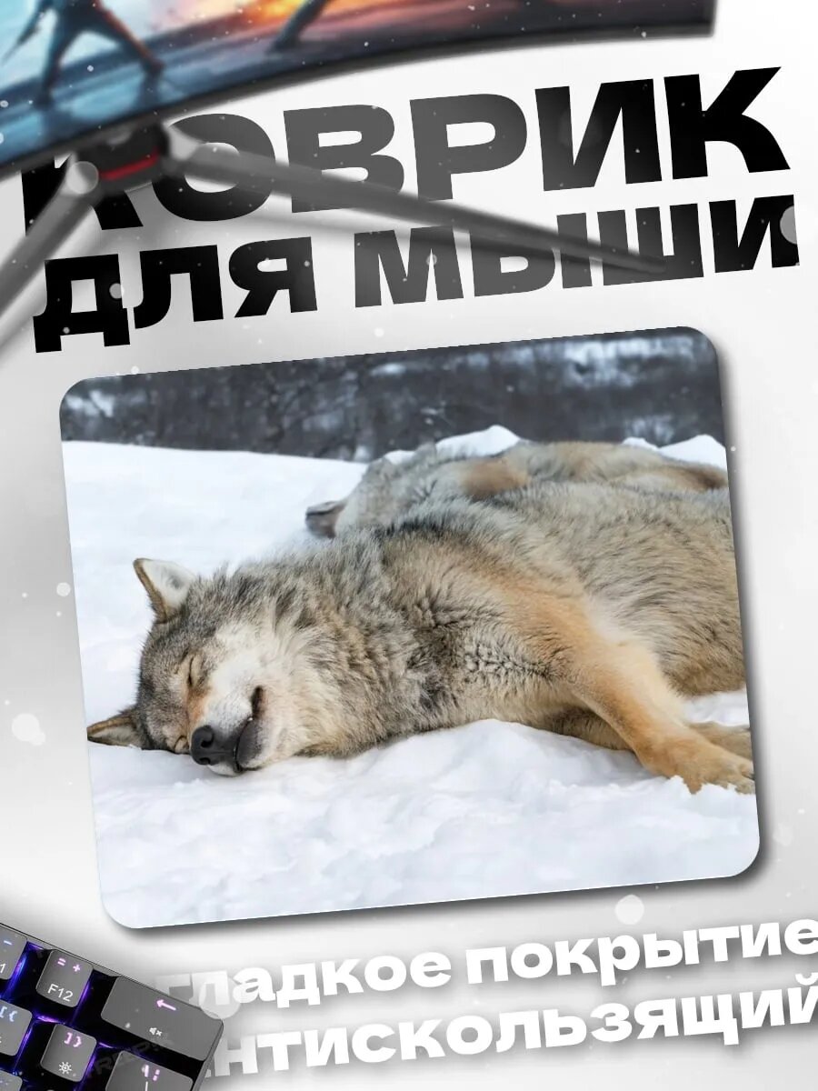 Коврик для мыши Волки спят на снегу
