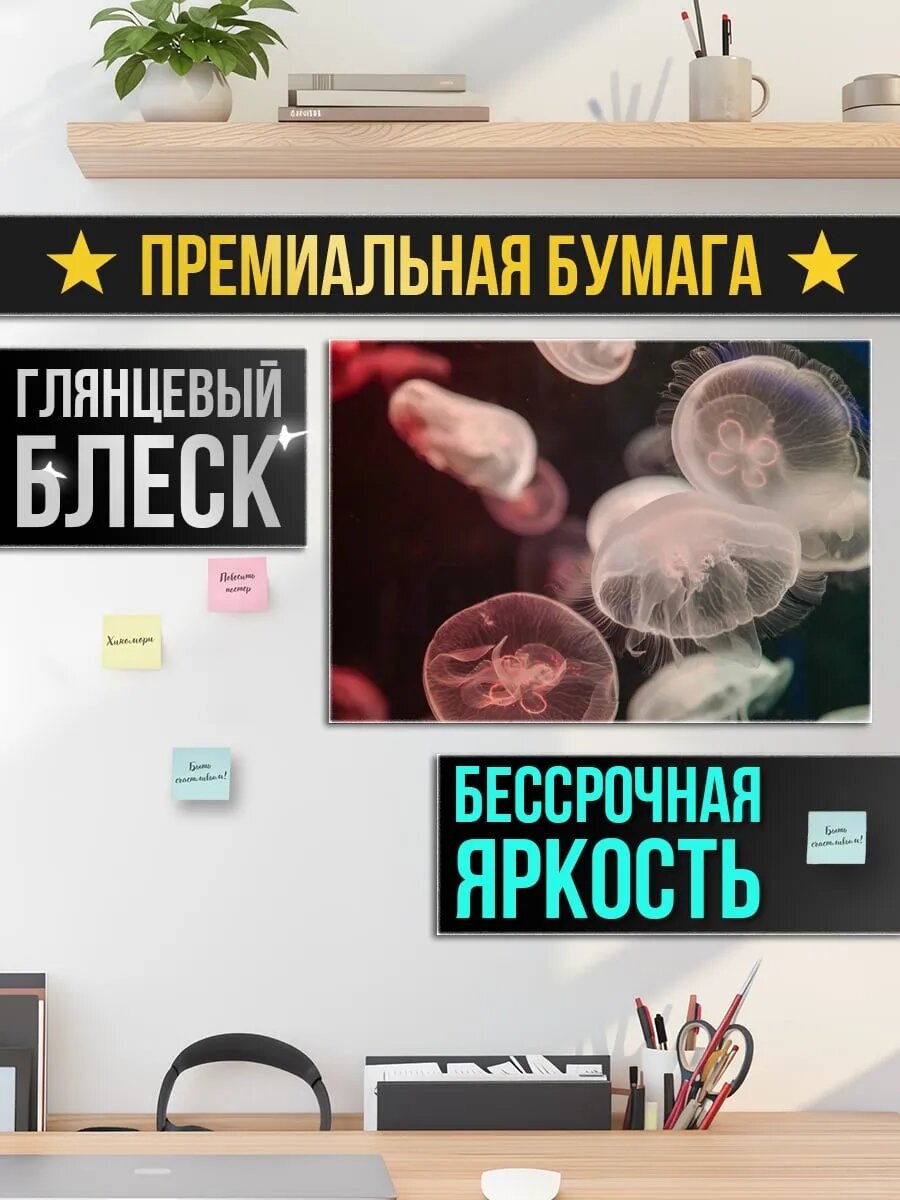 Плакат постер Медузы в темноте — фото 1