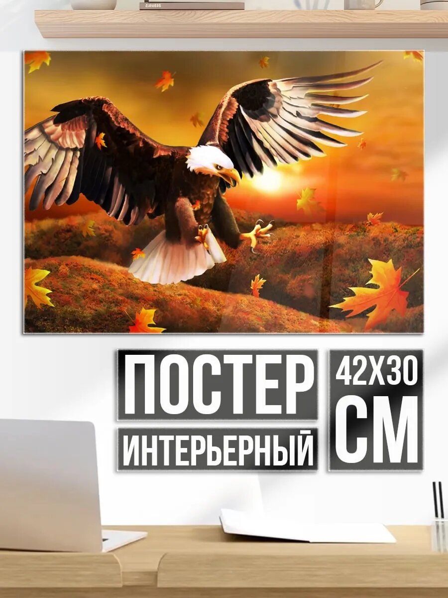 Плакат постер Орел на закате