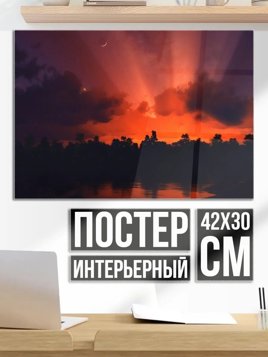 Плакат постер Закат над лесом