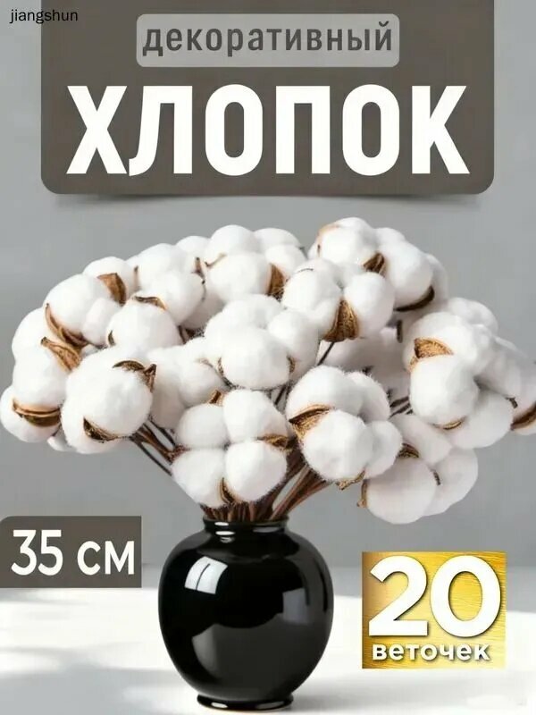 Сухоцветы Хлопок, 35 см, 20 шт