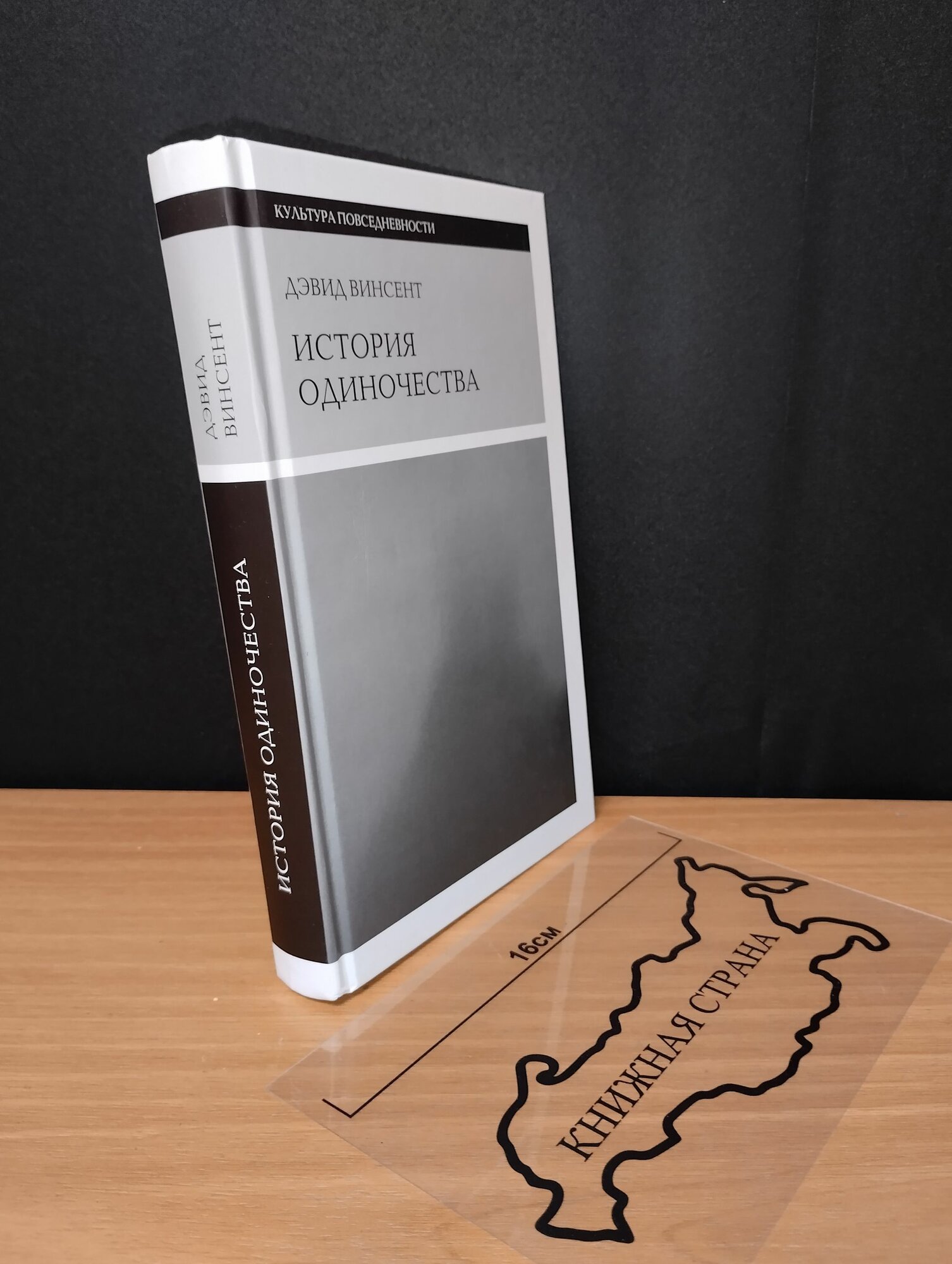 История одиночества. Дэвид Винсент. 2022