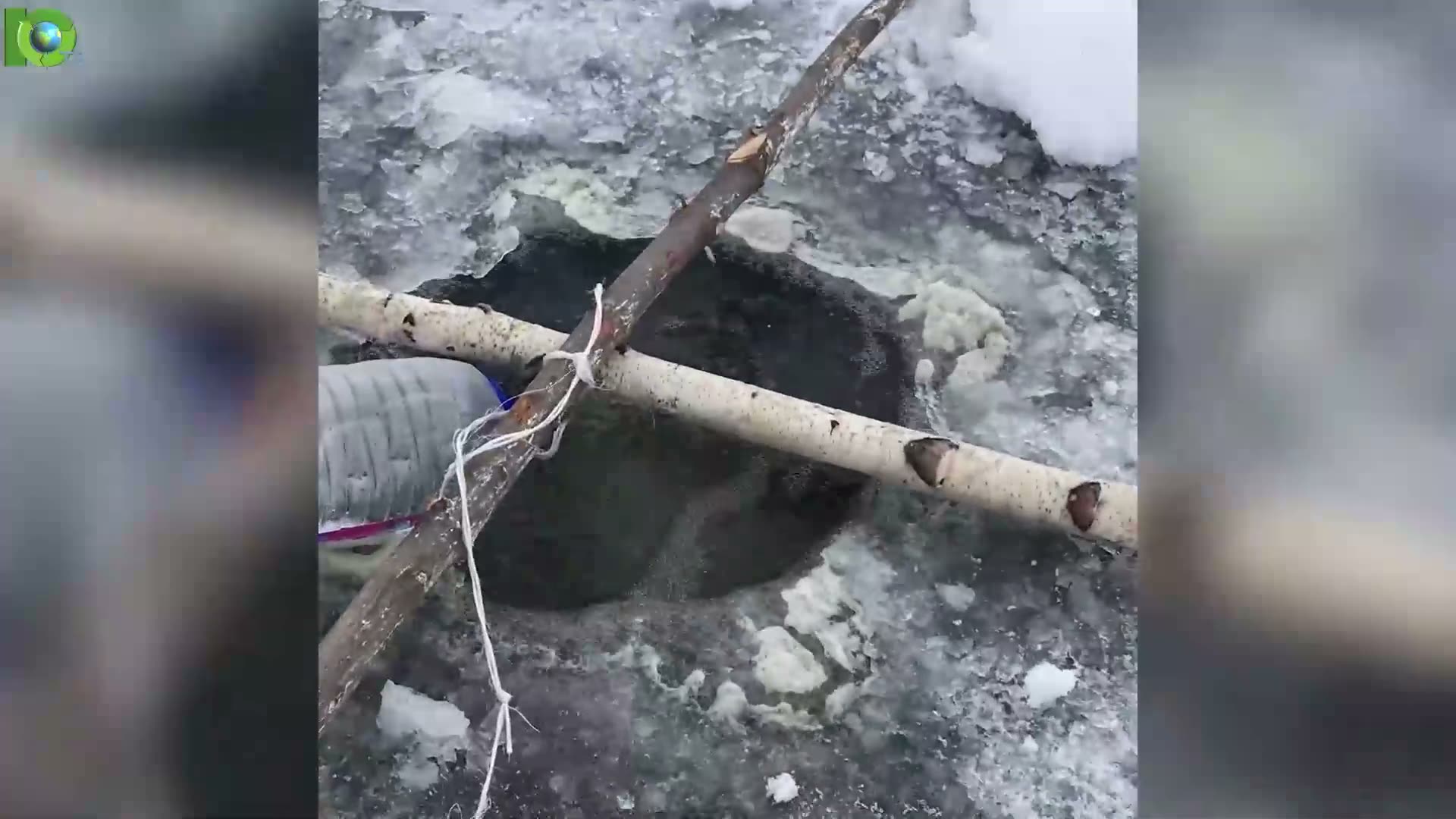 Компрессор Hiblow HP-200 — фото 1