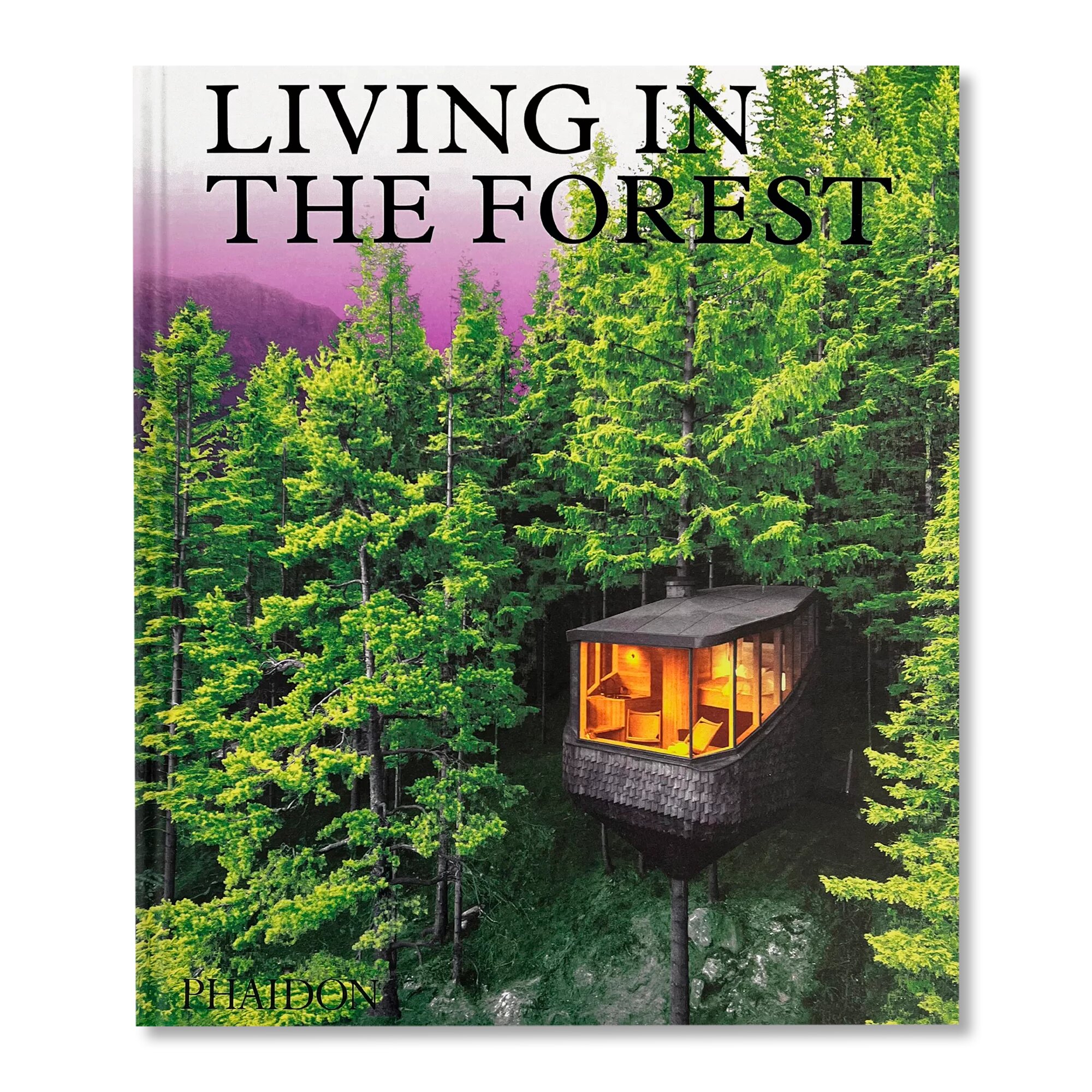 Living in the Forest — фото 1