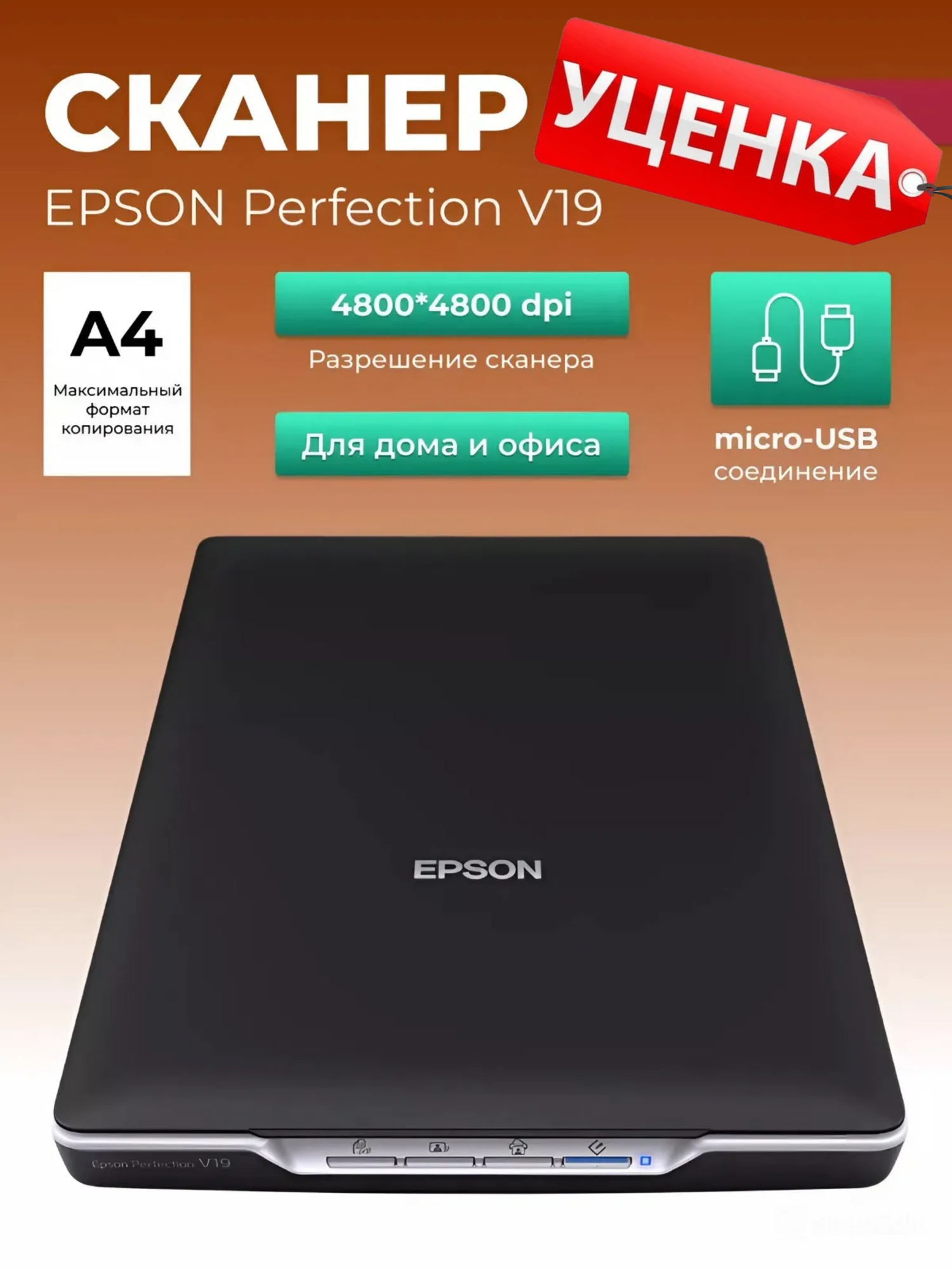 Сканер планшетный EPSON Perfection V19 B11B231503, USB, А4 светодиодный, черный
