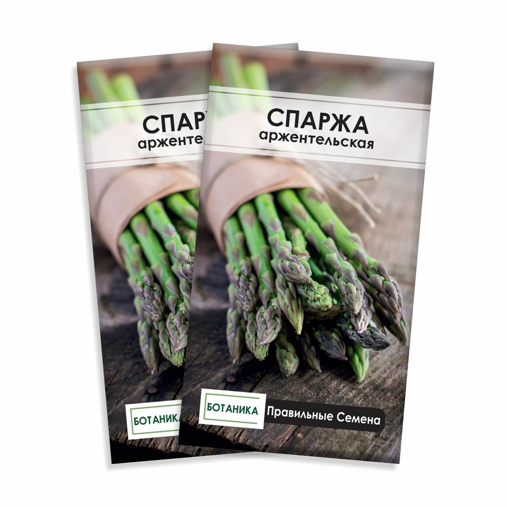 2 пакета Семена Спаржа Аржентельская Ботаника семена спаржи спаржа аржентельская семена ботаника